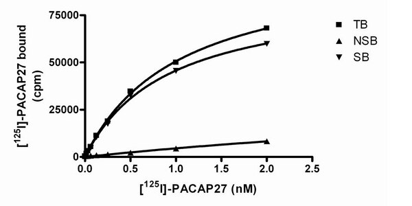 ChemiSCREEN™ Human VPAC2 VIP Receptor Membrane Preparation | HTS079M